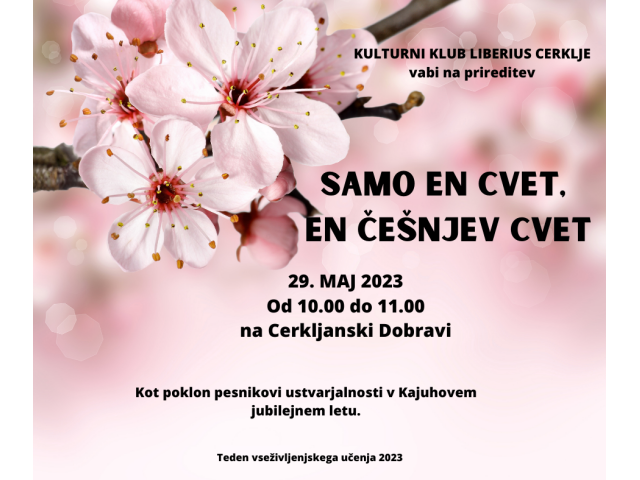 SAMO EN CVET, EN ČEŠNJEV CVET